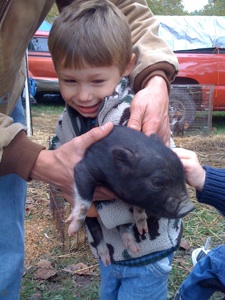 Duckie Pig
